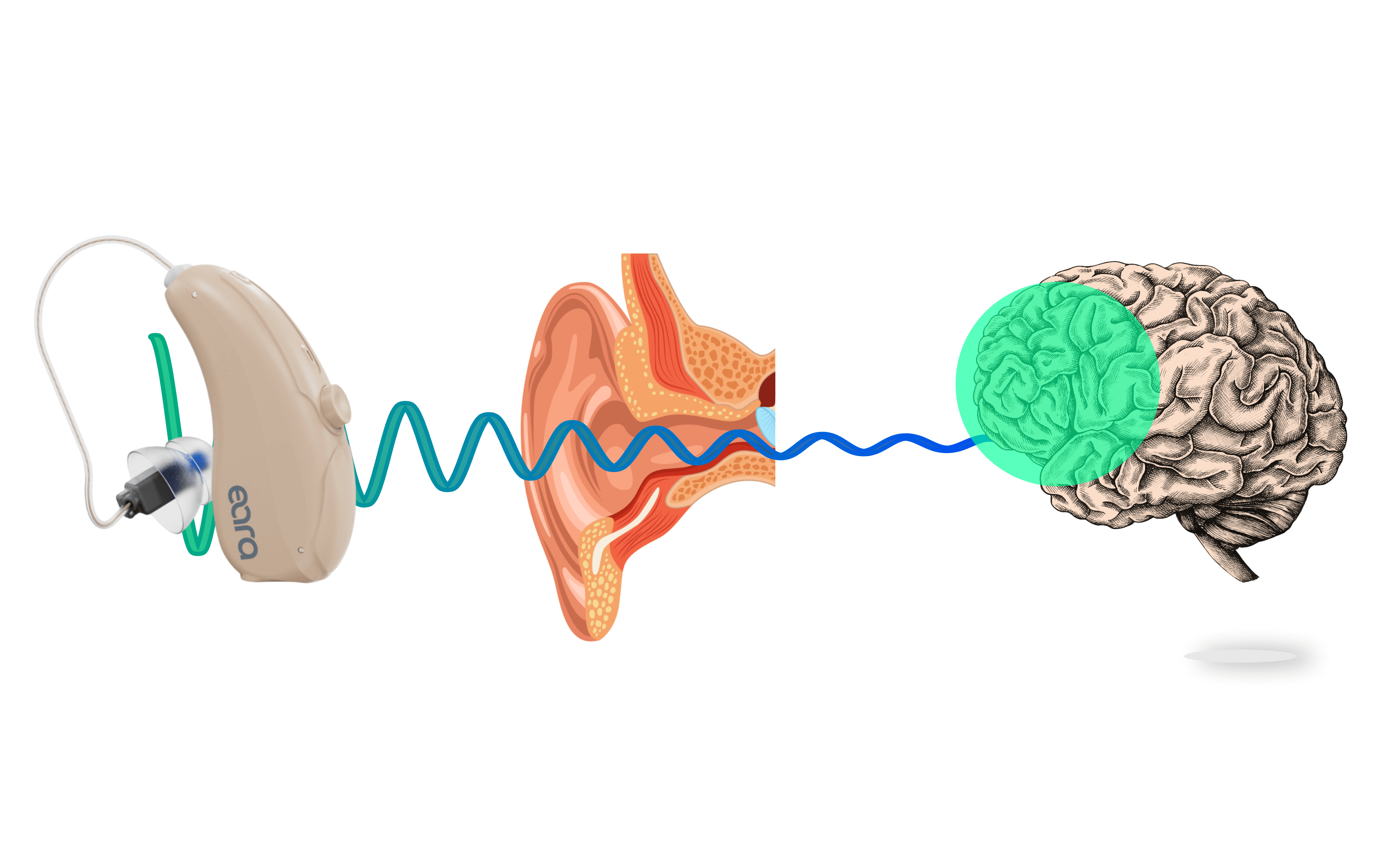 Connection Between Hearing Aids and Cognitive Health